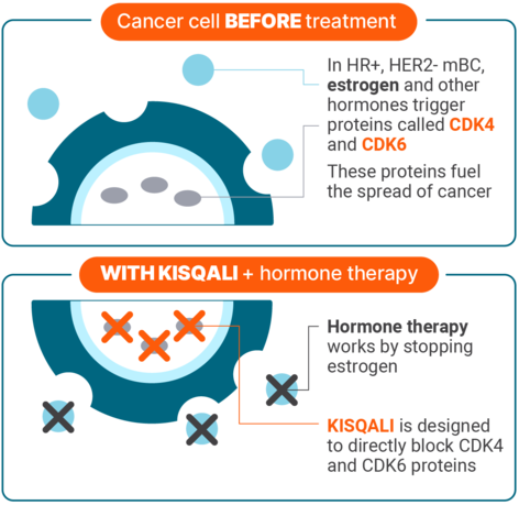 ribociclib clatterbridge